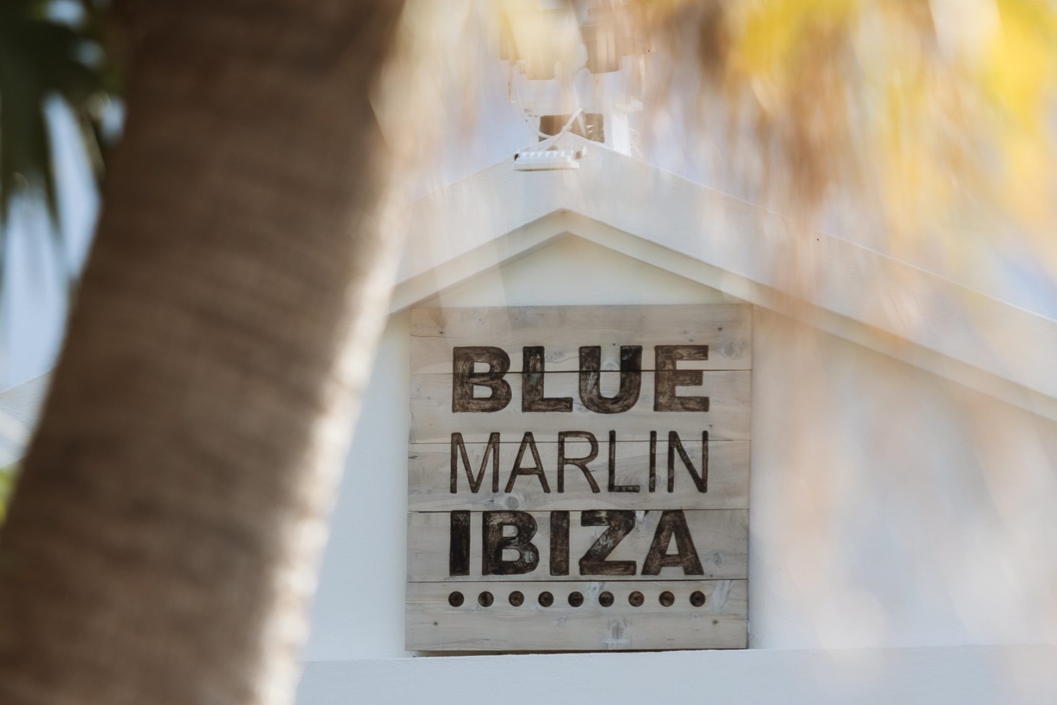 A one-of-a-kind entertainment destination – The Buzz Business